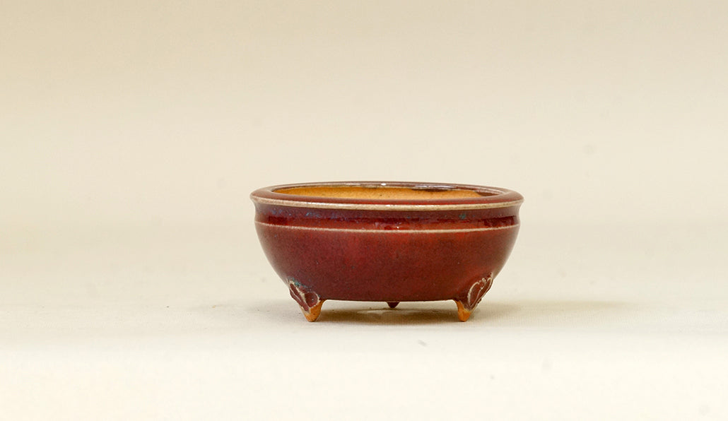 Eimei Shinsya Glazed MIniature Bonsai Pot 2.4"(6.3cm) E527 +++ Shippin ...