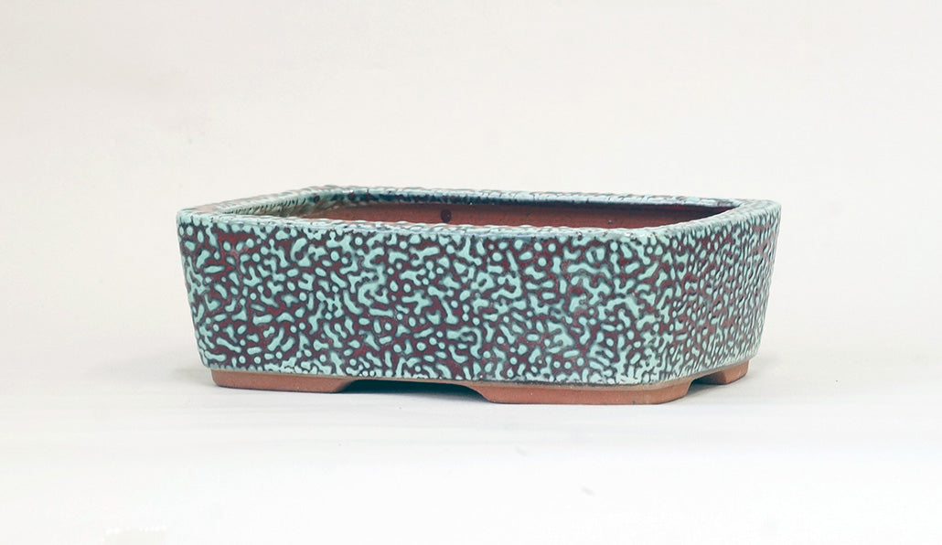 Beautiful Japanese Bonsai Pots, Tokoname Bonsai Pots Store – YUKIMONO
